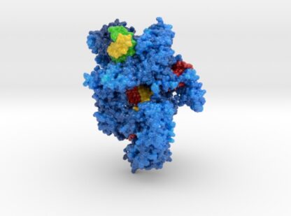 CRISPR Archives - Biologic Models