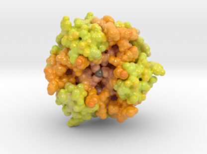 Hormone Archives - Biologic Models