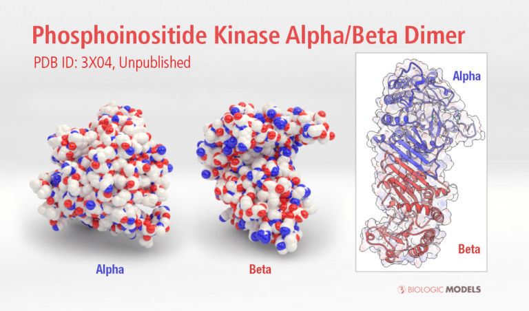 PIP4K II Alpha and Beta - Biologic Models