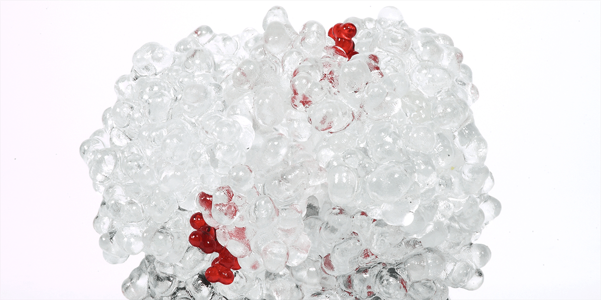 Biologic Models – Interactive Science Communication