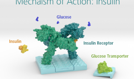 MOA Archives - Biologic Models