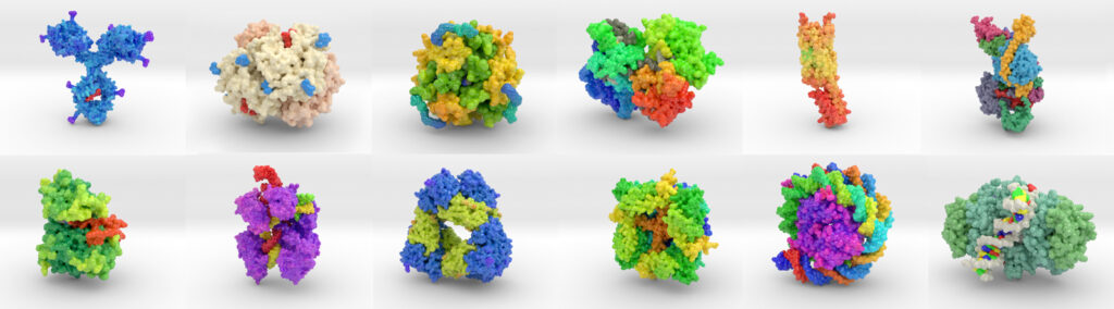 3D Print Request Confirmation - Biologic Models