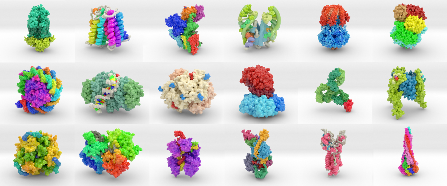 Home - Biologic Models