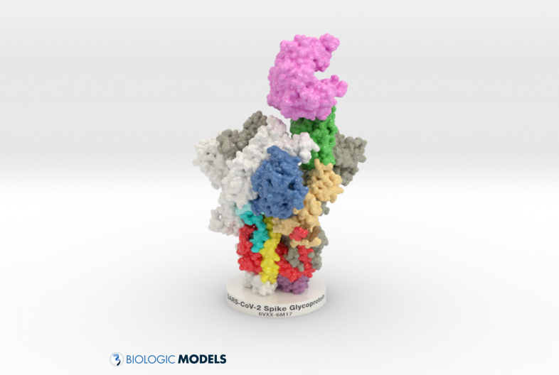 Blog - Biologic Models