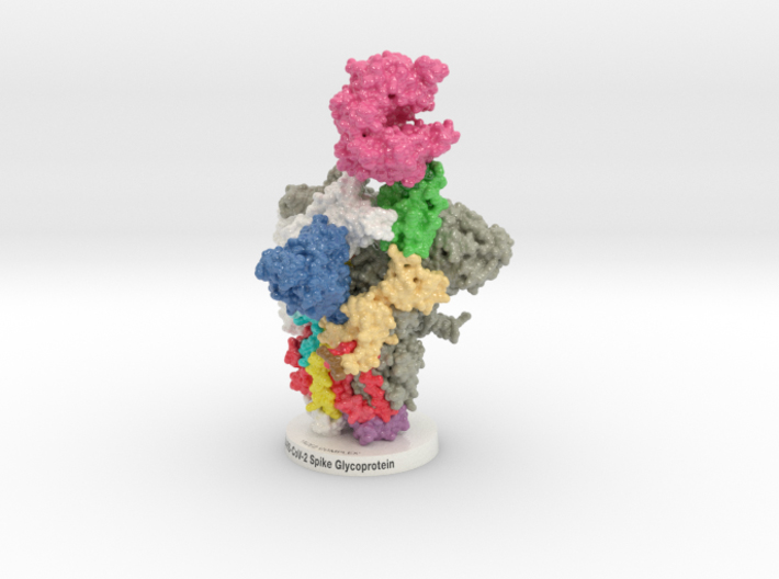 SARS-CoV-2 Archives - Biologic Models