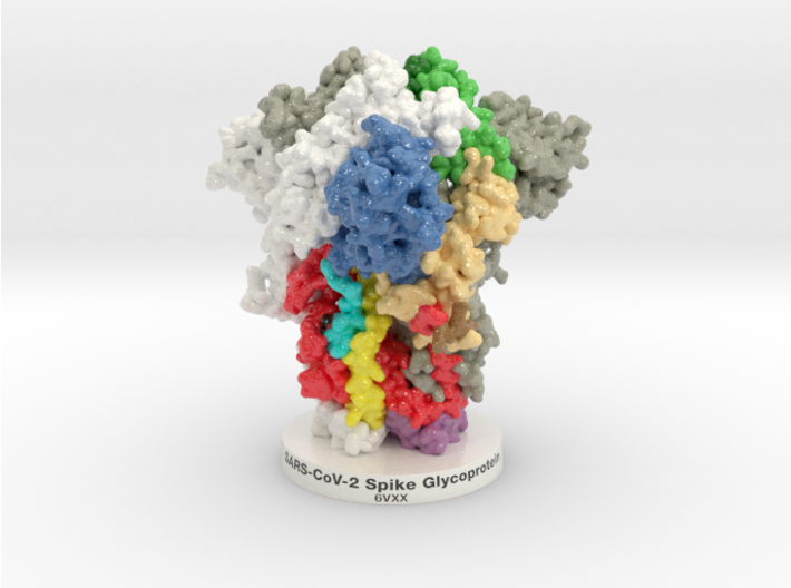 SARS-CoV-2 Archives - Biologic Models