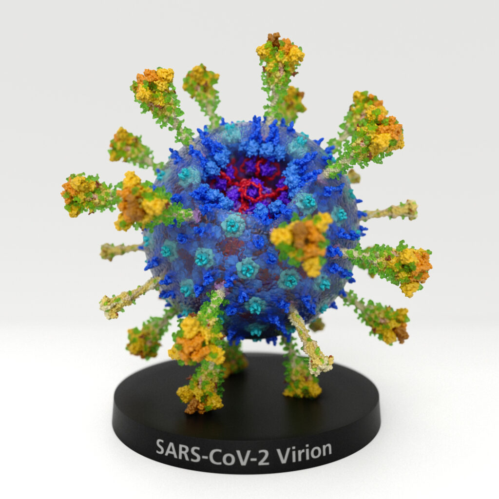 Featured Biologic Models Archives - Biologic Models