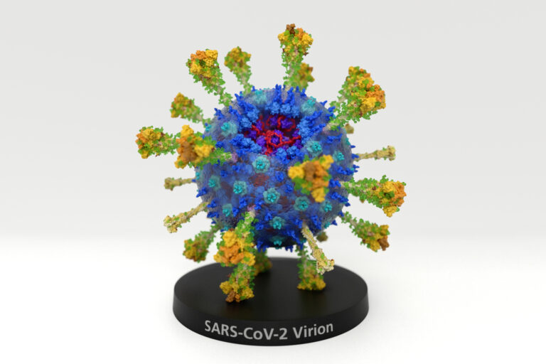 Home - Biologic Models