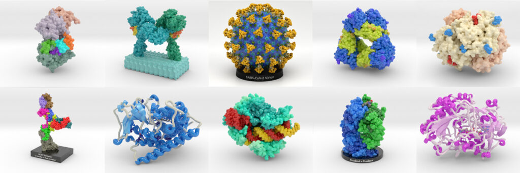 Models - Biologic Models