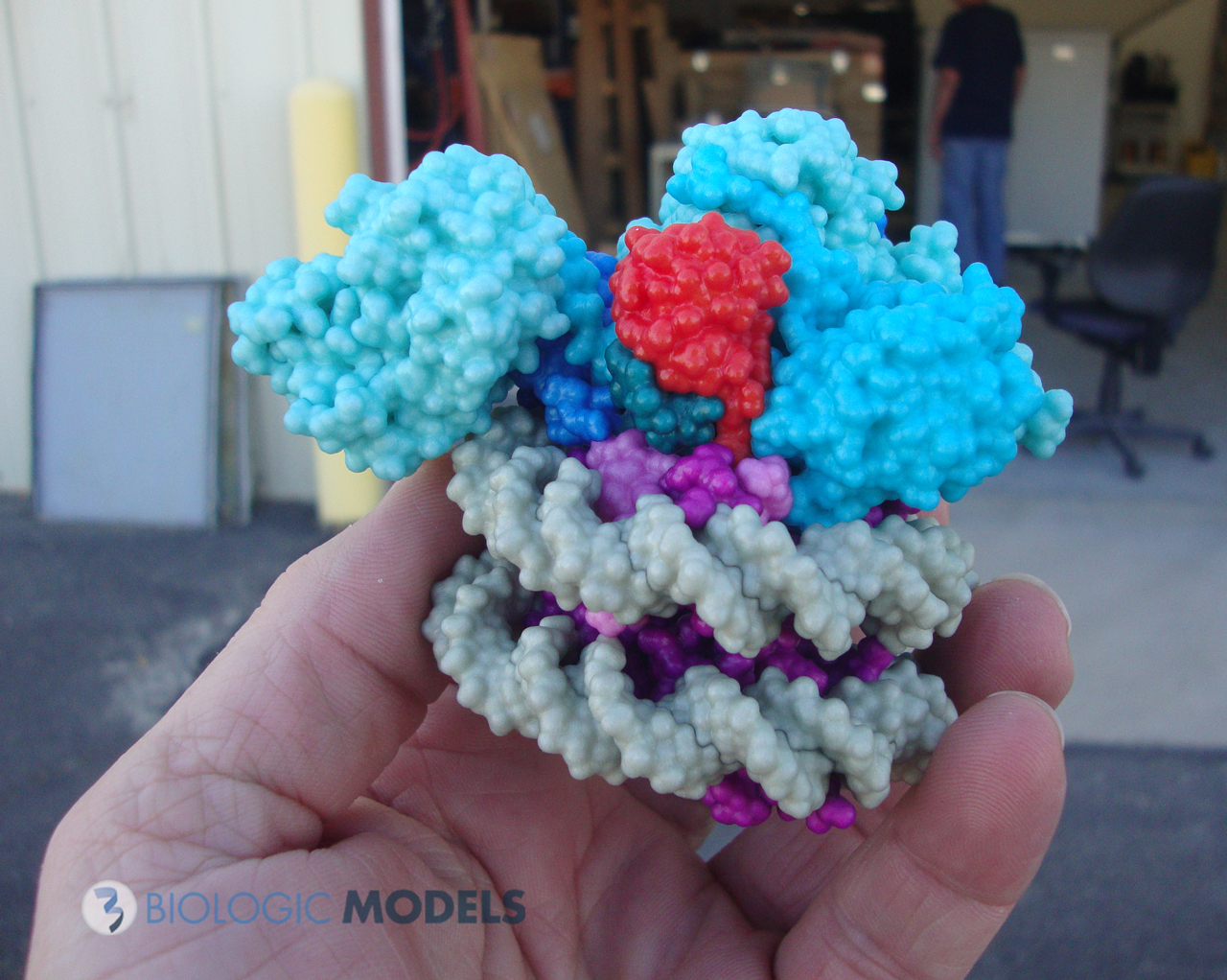 Home - Biologic Models