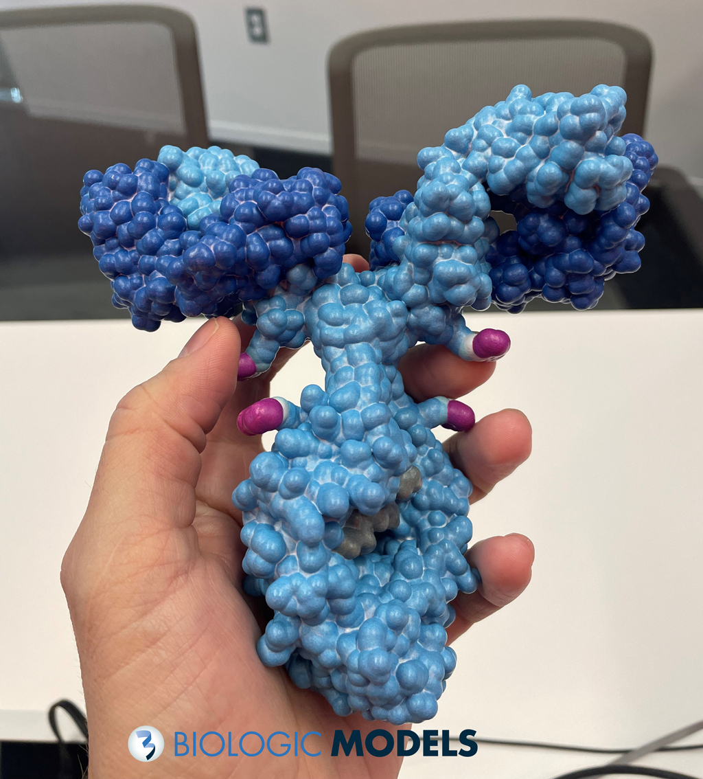 Home - Biologic Models