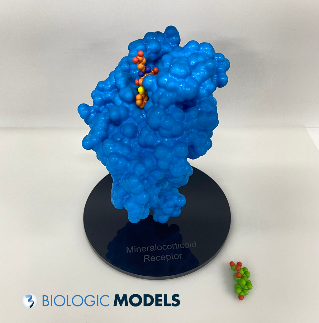 Home - Biologic Models